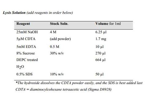 Halobacterium Salinarum Online Presentation