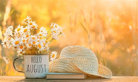 August Background