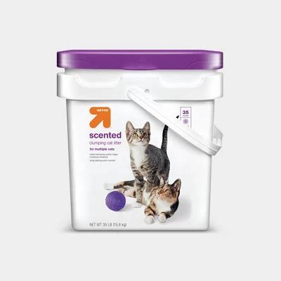 Best Cat Litter Target