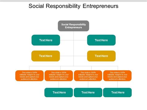 Social Responsibility Entrepreneurs Ppt Powerpoint Presentation Styles