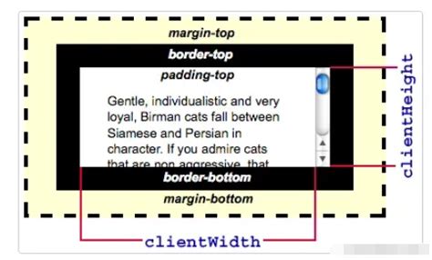 JS属性scrollTopclientHeight和scrollHeight怎么使用 开发技术 亿速云