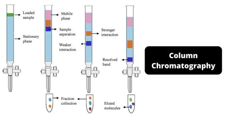 Liquid Chromatography Definition Types Principle Protocol Applications Biology Notes Online