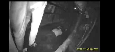 Human Trample In Haunted House Türkçe Human Trample In Haunted House Türkçe