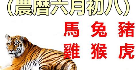 7月13日生肖運勢馬、兔、豬大吉 趣聞圖說