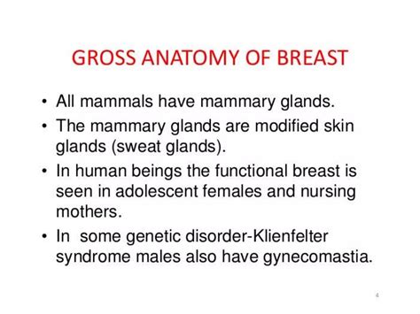 Mammary Glandppt