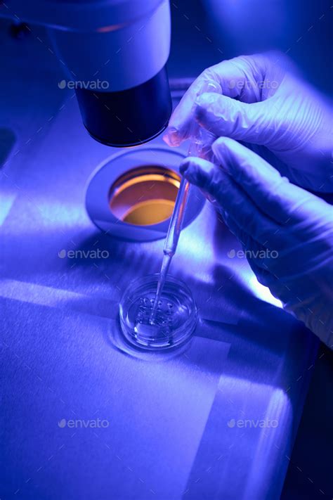 Reproduction Specialist Examining Female Cells Under Microscope Stock Photo By Iakobchuk