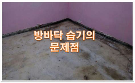 경기도 소재 빌라 반지하방 방바닥 습기 차단방바닥 습기 방바닥 결로 방바닥 곰팡이 솔루션 네이버 블로그