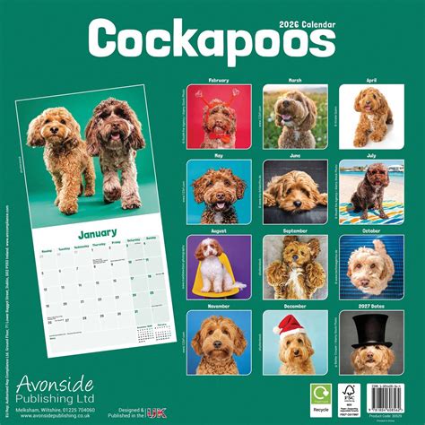 Cockapoo Calendar 2026