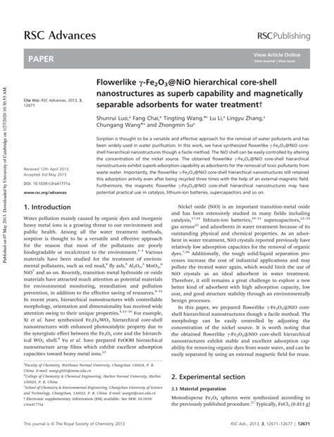 Pdf Flowerlike γ Fe2o3nio Hierarchical Core Shell Nanostructures As Superb Capability And