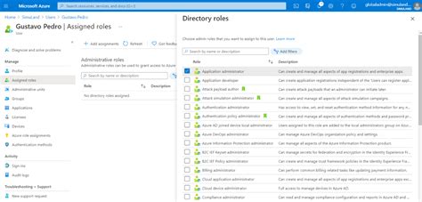 Assign Azure Ad Role To User — Simuland