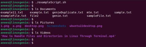 Bash Globbing Explained With Real Life Use Cases Linux Genie