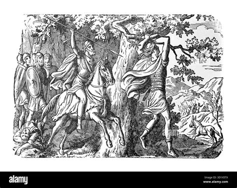 Forest Of Death Cut Out Stock Images And Pictures Alamy