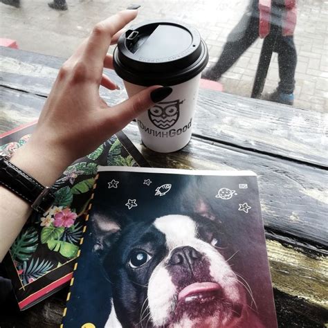 кофе мой друг кофе кофейня учеба тетрадь красивое фото филин Coffee Coffeetime Coffeemood