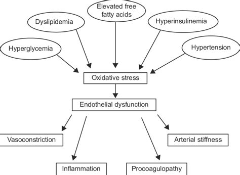 Factors Contributing To Endothelial Dysfunction In Type 2 Diabetes