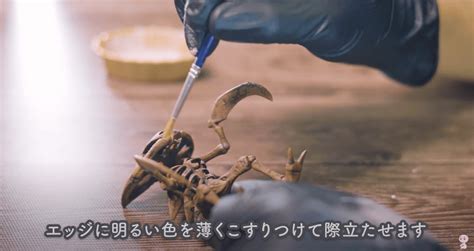 Amazing Kabutops Replica True Pokemon Fossil Otakuguru Pokemon