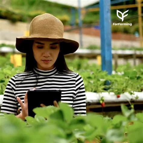 Forfarming On Linkedin Digitalagriculture Sustainablefarming Agriculturetechnologies…