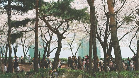 문토 모임 필름카메라 출사모임📸