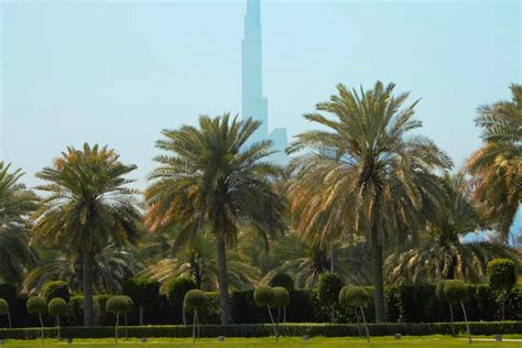 Safa Park Best Things To Do And How To Visit 2026
