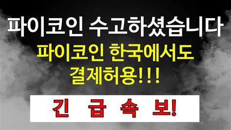 파이코인 긴급입수한 자료입니다 보유자분들 축하드립니다 Youtube