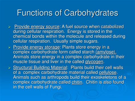 Carbohydrates Function