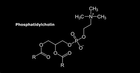 Phosphatidylcholin Bei Colitis Ulcerosa Medmix