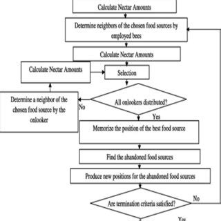 Artificial Bee Colony Algorithm Download Scientific Diagram