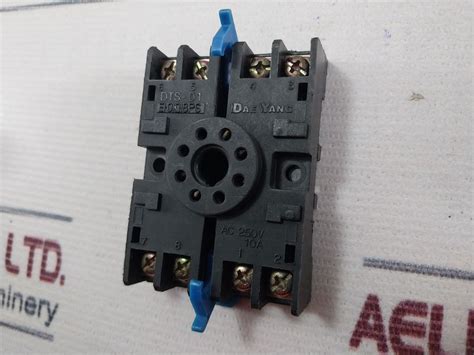 Seil Electron S48 C2 Timer With Base Ac110 Aeliya Marine