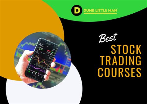 13 Best Stock Trading Courses In 2026 • Dumb Little Man