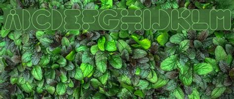 High Logic Hollow Font