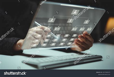 Organization Chart Hierarchy Structure Teams Employees Stock Photo 2277505571 Shutterstock