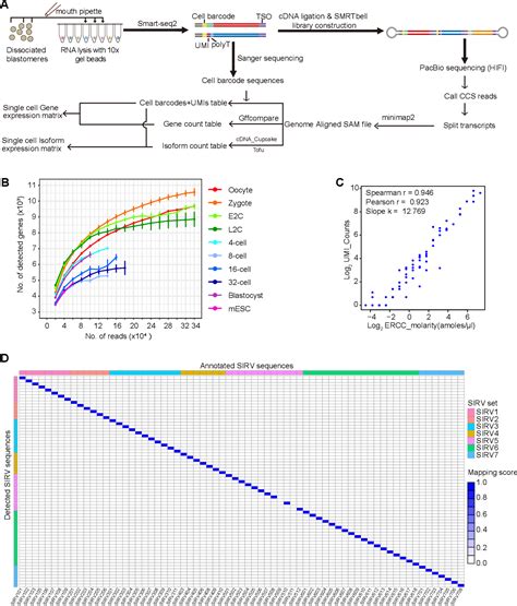 Figure From Single Cell Analysis Of Isoform Switching And Transposable Element Expression