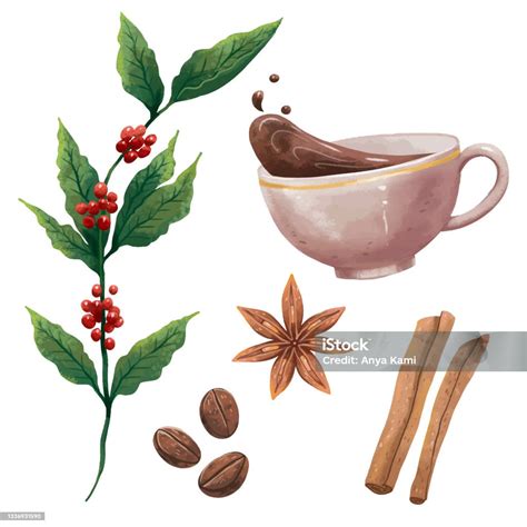 커피 딸기 커피 머그잔 스플래시 커피 콩 계피 스틱 카다몬 별이 있는 식물 커피나무에 대한 스톡 벡터 아트 및 기타 이미지