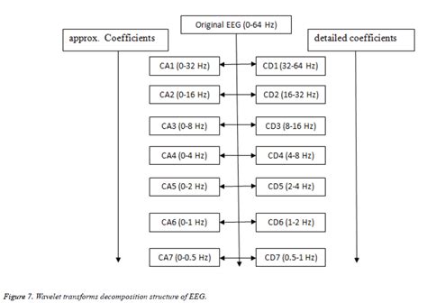 Optimal Determination Of Wavelet For Football Player Eeg Using Svm