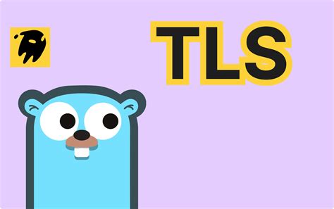 A Complete Guide To Tls In Go Full Process Explained Leapcell