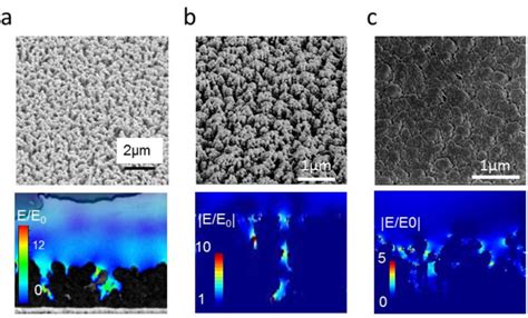 Surface Morphology Of Porous And Rough Commercial Electrodes And