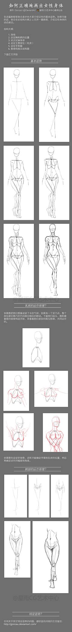 连图 花瓣网 陪你做生活的设计师 女人体、结构、动态、站、胯部