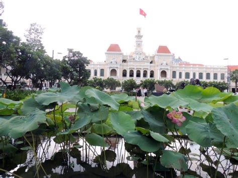 Bigfoottraveller HoChihMinh 8 大脚印