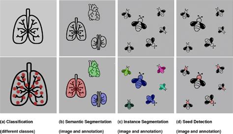 Overview Tutorial Datasets Tutorial Datasets Are Provided To