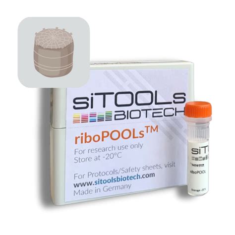 Sitools Biotech Shop Thalassiosira Pseudonana Ribopool Probe 12 Reactions St10096 4