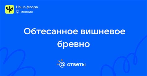 Обтесанное вишневое бревно Ответы Mail
