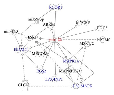 Af Ingenuity Pathway Analysis Based Detection Of Downstream