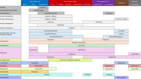 File Antibiotic Chart Svg Wikimedia Commons