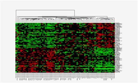 working with the clustergram function