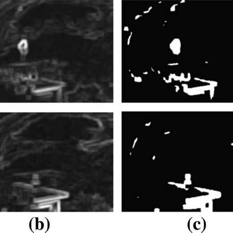 saliency map extraction a input images b distribution maps of local