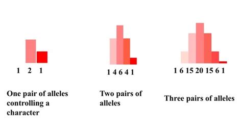 Multifactorial Inheritance And Empiric Recurrence Risks Flashcards