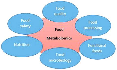 Different Aspects Of Food Metabolomics Download Scientific Diagram