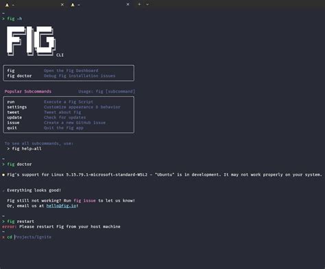 Fig Didn T Install Integration DAEMON Correctly On WLS Issue Withfig Fig GitHub