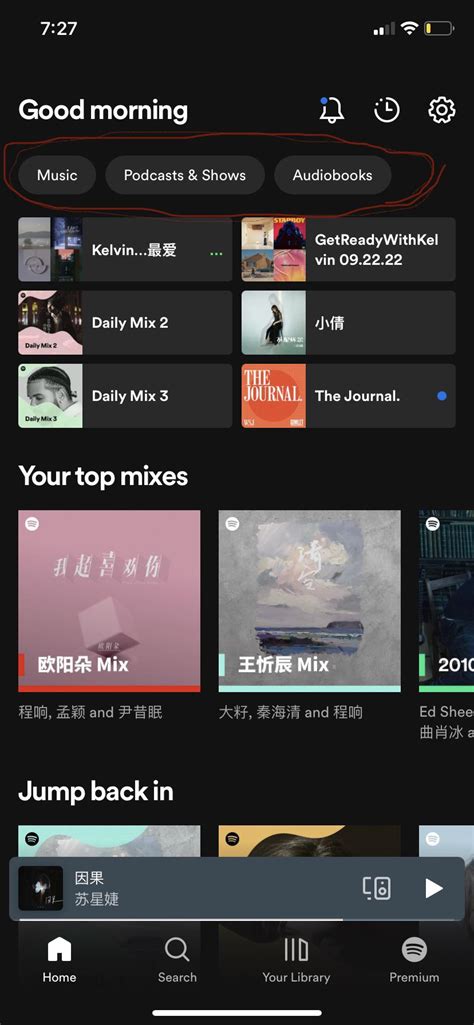 Do You Guys Ever Use The Pill Buttons On The Top R Truespotify
