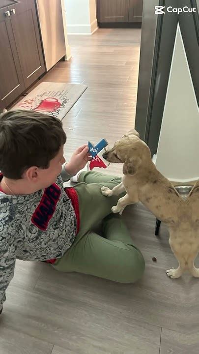 Secret Message Cretmessagelinksecret6662711570c59