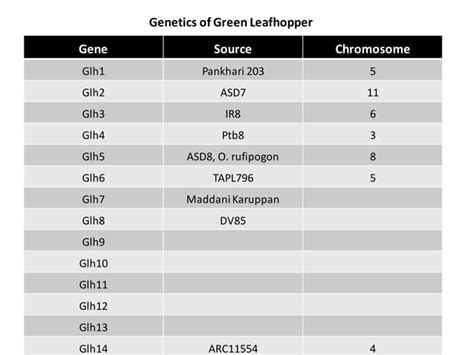 Breeding For Major Insect Pests Resistance In Rice Pdf